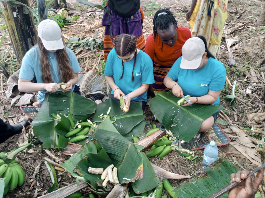 Caritas MADDO/Aid link Partnership – Caritasmaddo